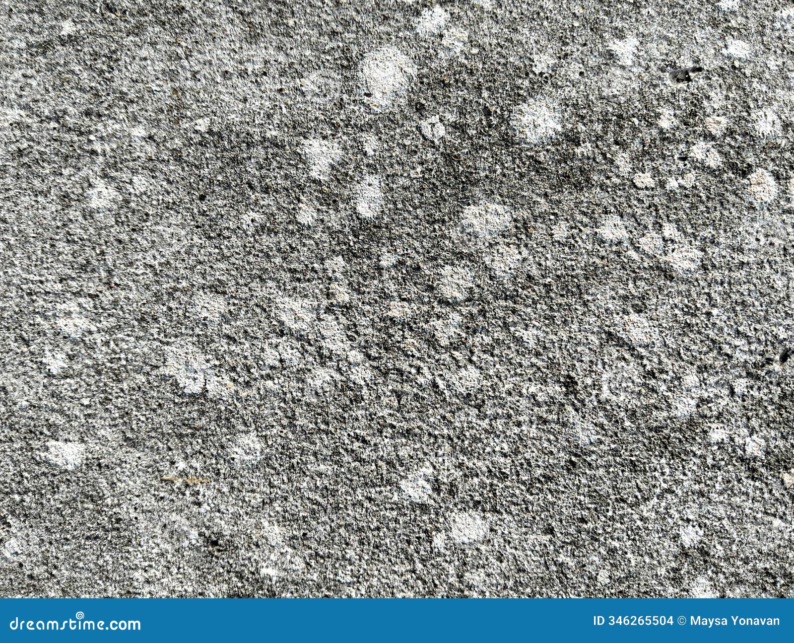Fungus Concrete Wall Background Texture Stock Image | CartoonDealer.com ...