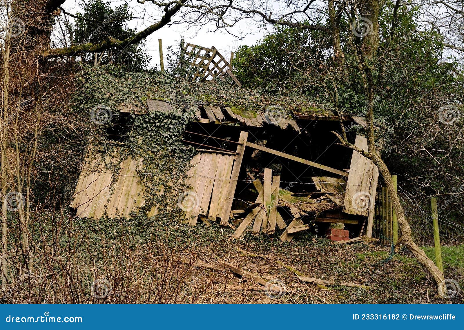The Old Garage is Falling Down Stock Photo - Image of overgrown ...