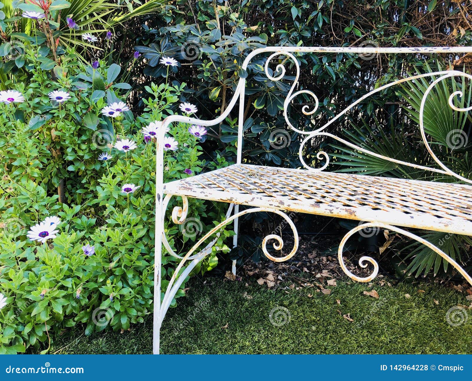 Old garden bench stock photo. Image of rusty, surrounded - 142964228