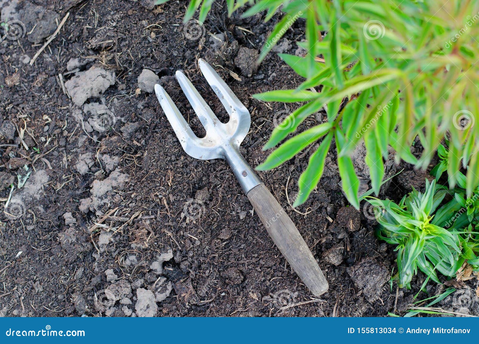 Old Garden Fork on the Ground Stock Photo - Image of earth, nature ...