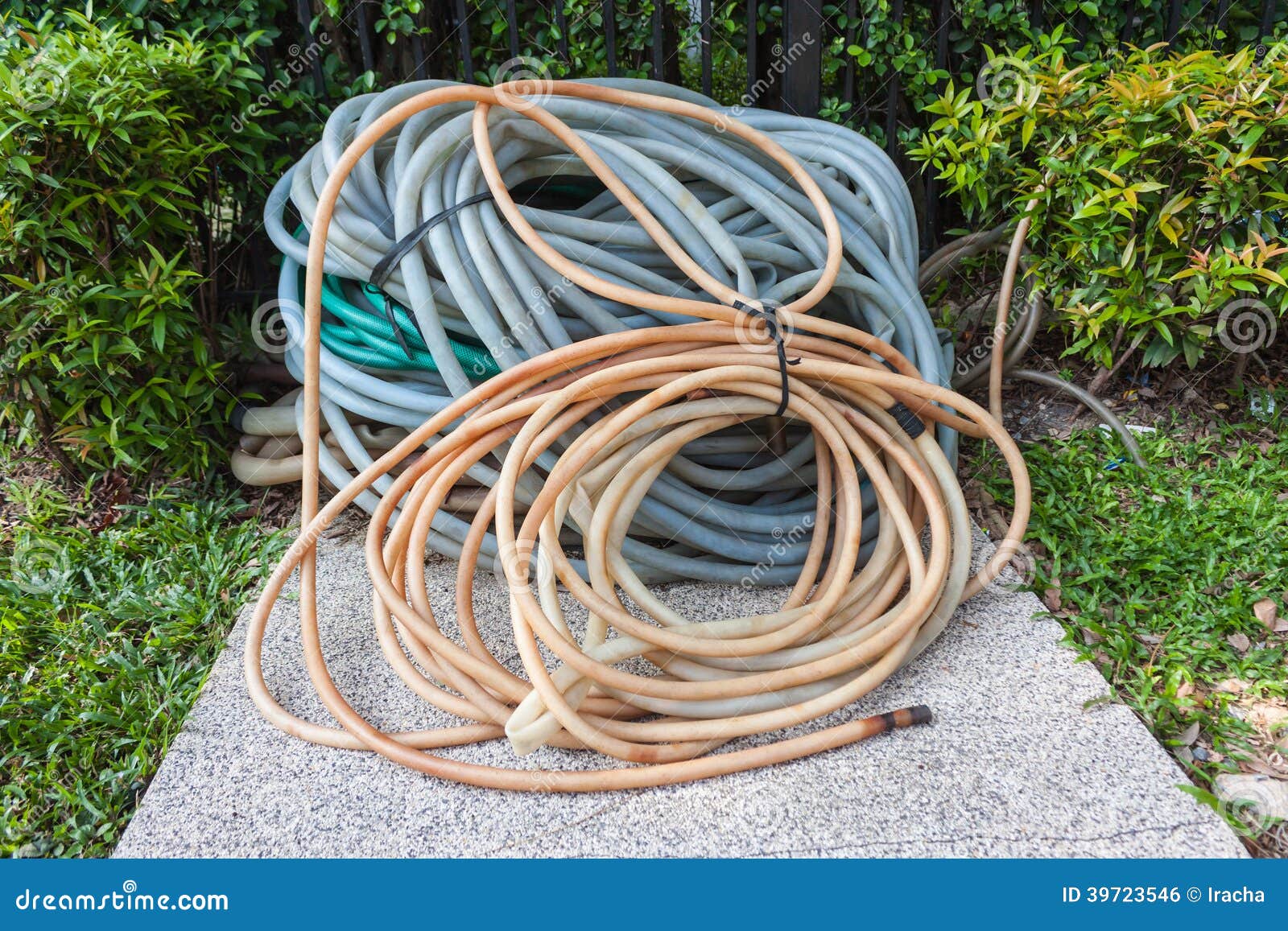 Old Garden Hose stock photo. Image of outside, tube, summer - 39723546