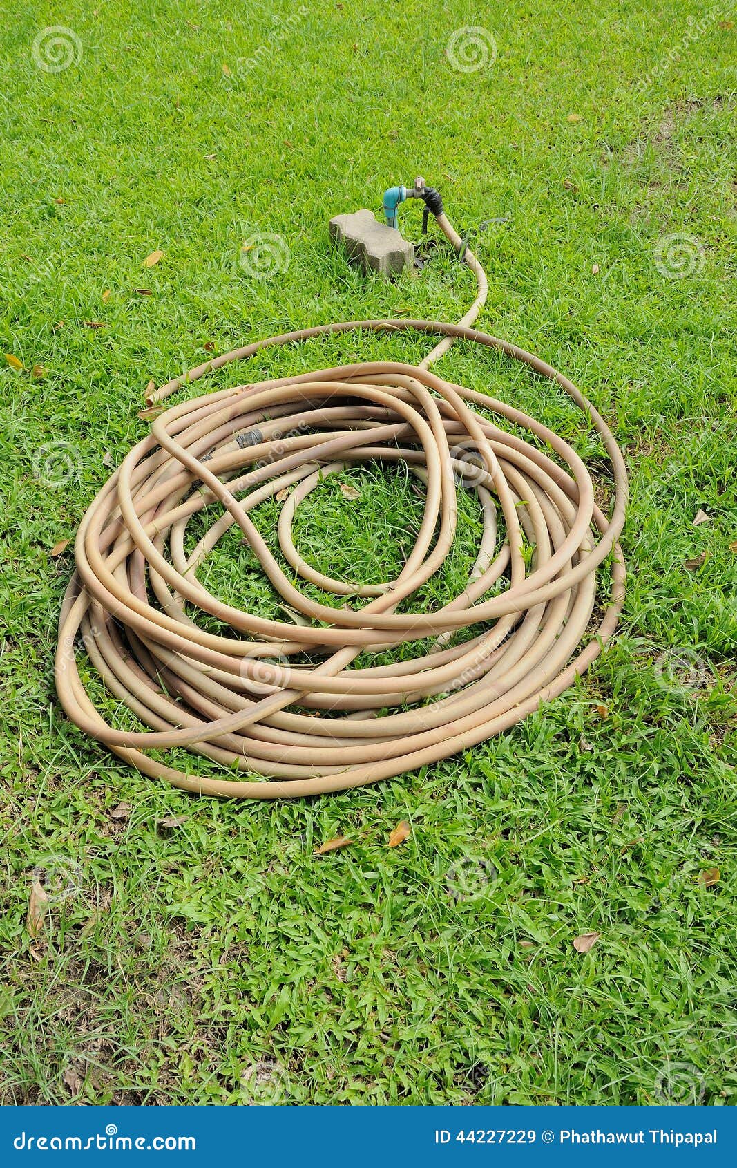 Old Garden Hose stock image. Image of watering, equipment - 44227229