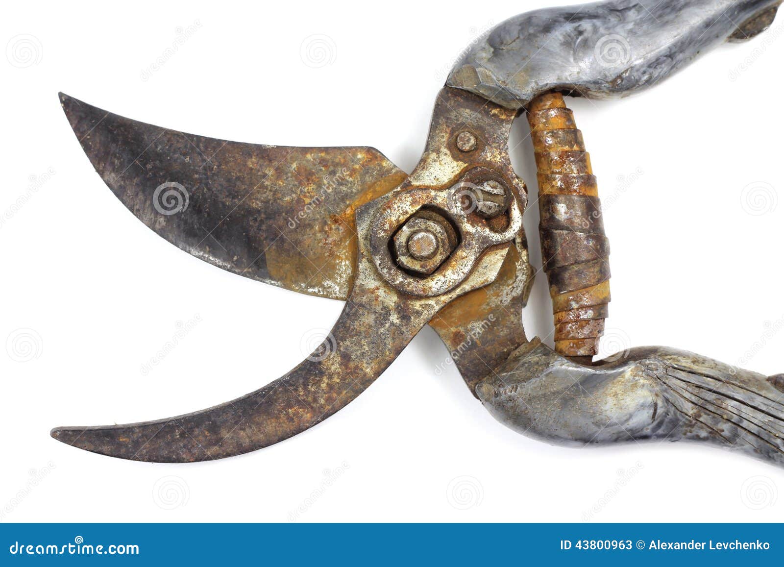 Old garden pruner isolated stock image. Image of spoiled - 43800963