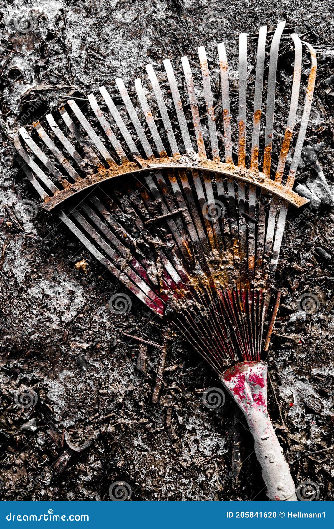 Old Garden Rake stock photo. Image of outdoor, metal - 205841620