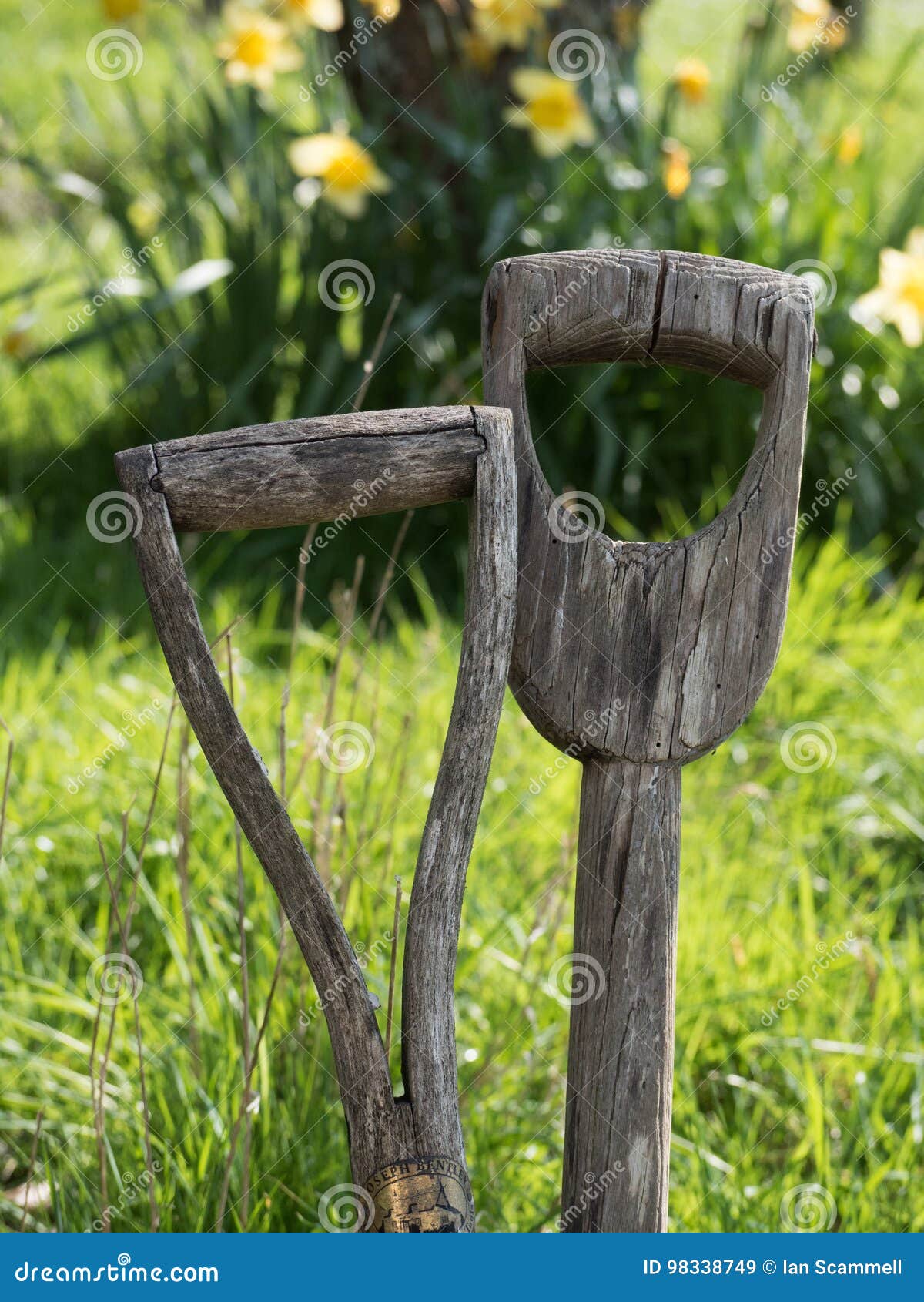 Old garden spades stock image. Image of weathered, spade - 98338749