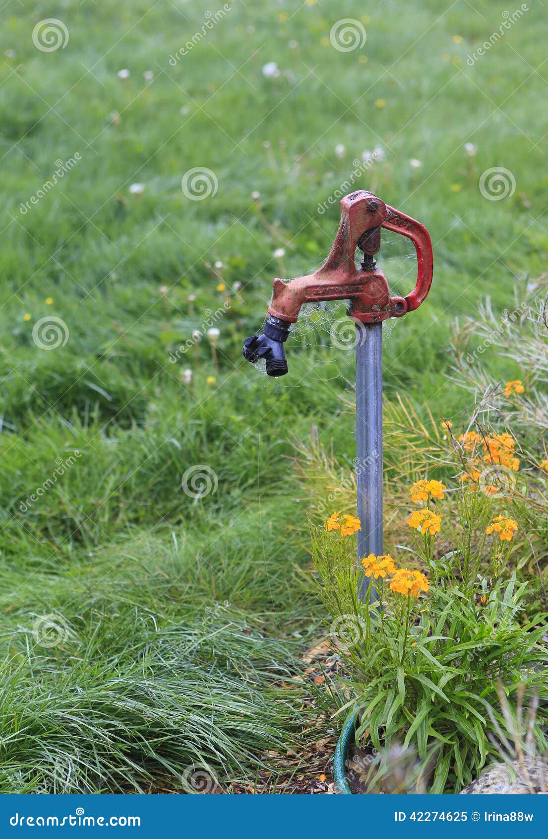 Old garden water tap stock image. Image of garden, grass - 42274625