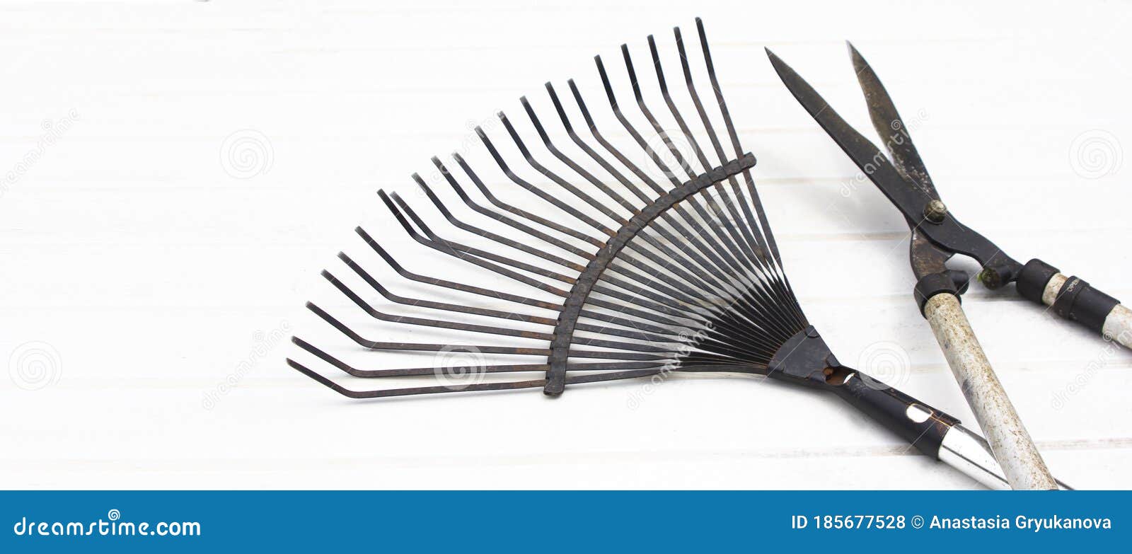 Old Gardening Tools: Garden Rake and Pruner Stock Photo - Image of ...
