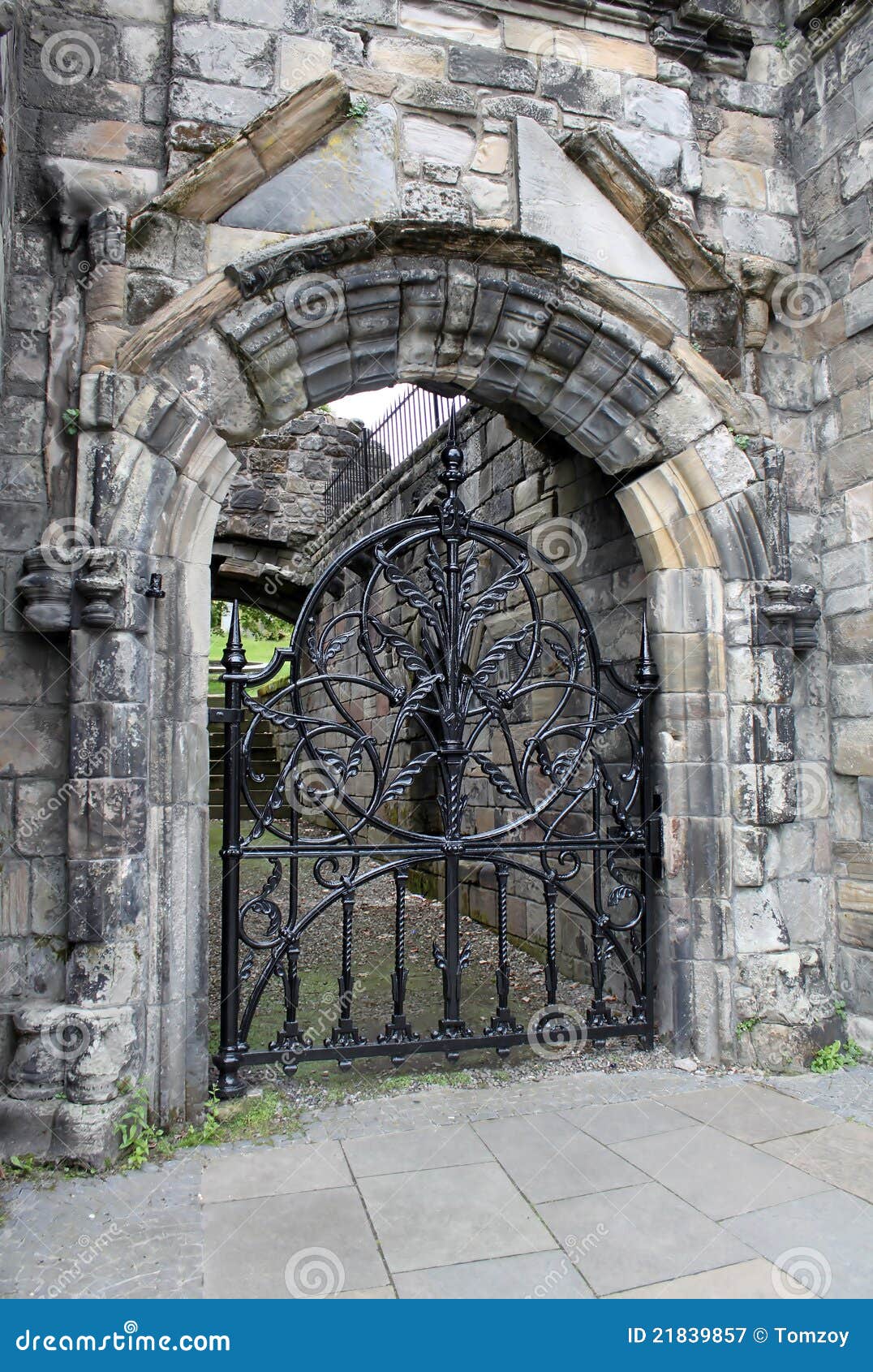 An old gate stock image. Image of painted, gate, wrought - 21839857