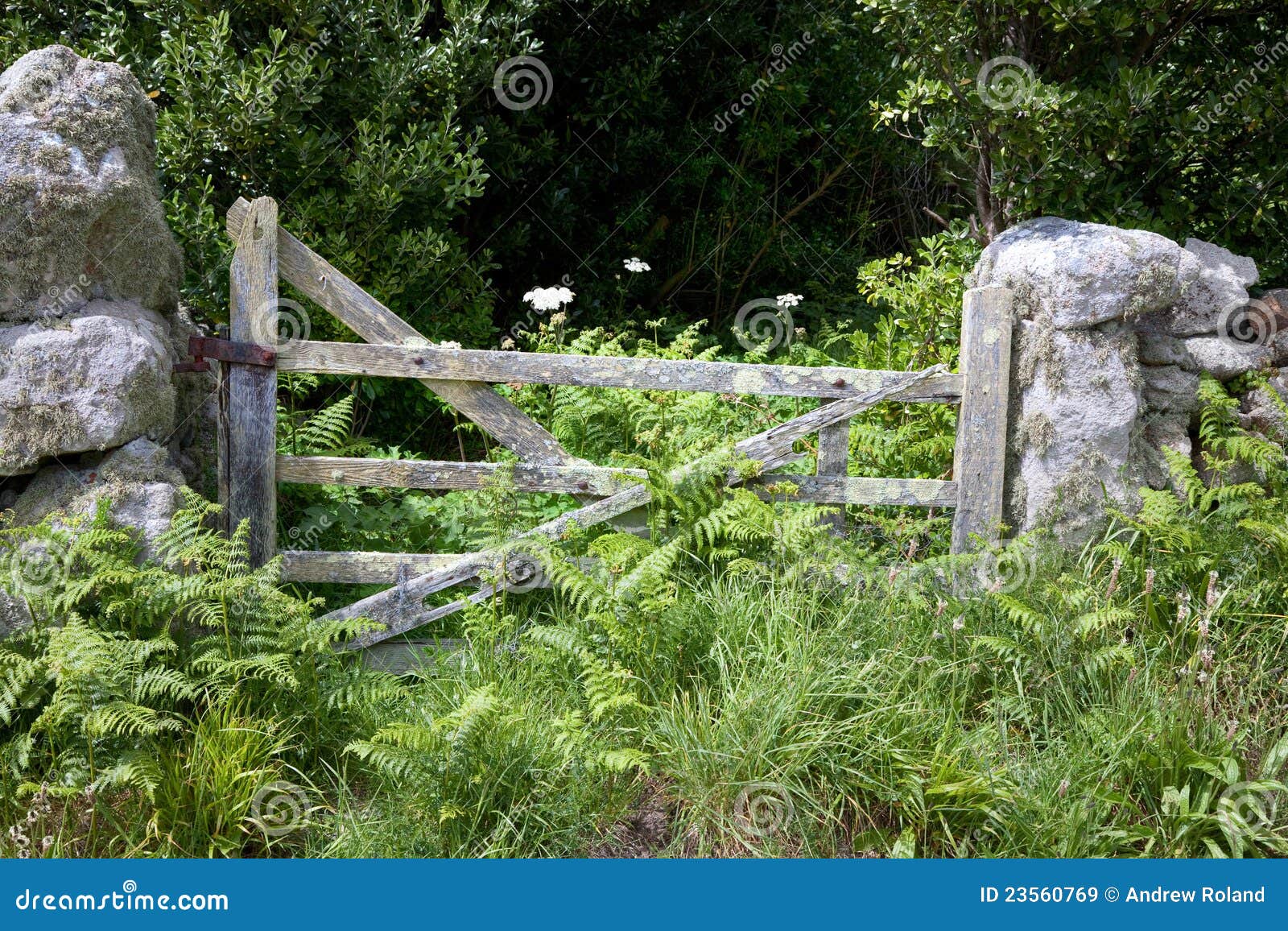 Old gate stock image. Image of meadow, field, five, farm - 23560769