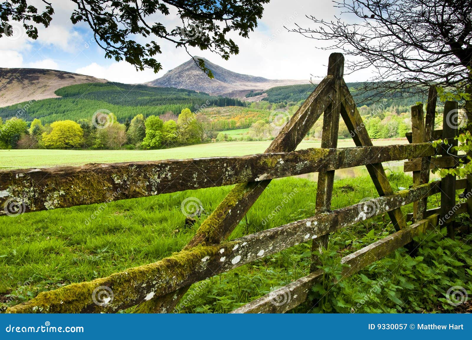 Old Gate stock image. Image of gate, branches, arran, fields - 9330057