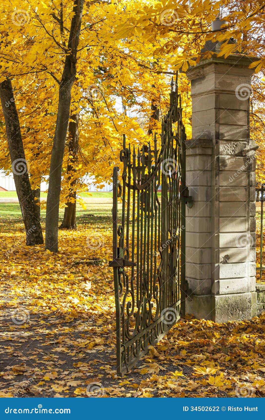 Old gate in autumn forest stock photo. Image of leaves - 34502622