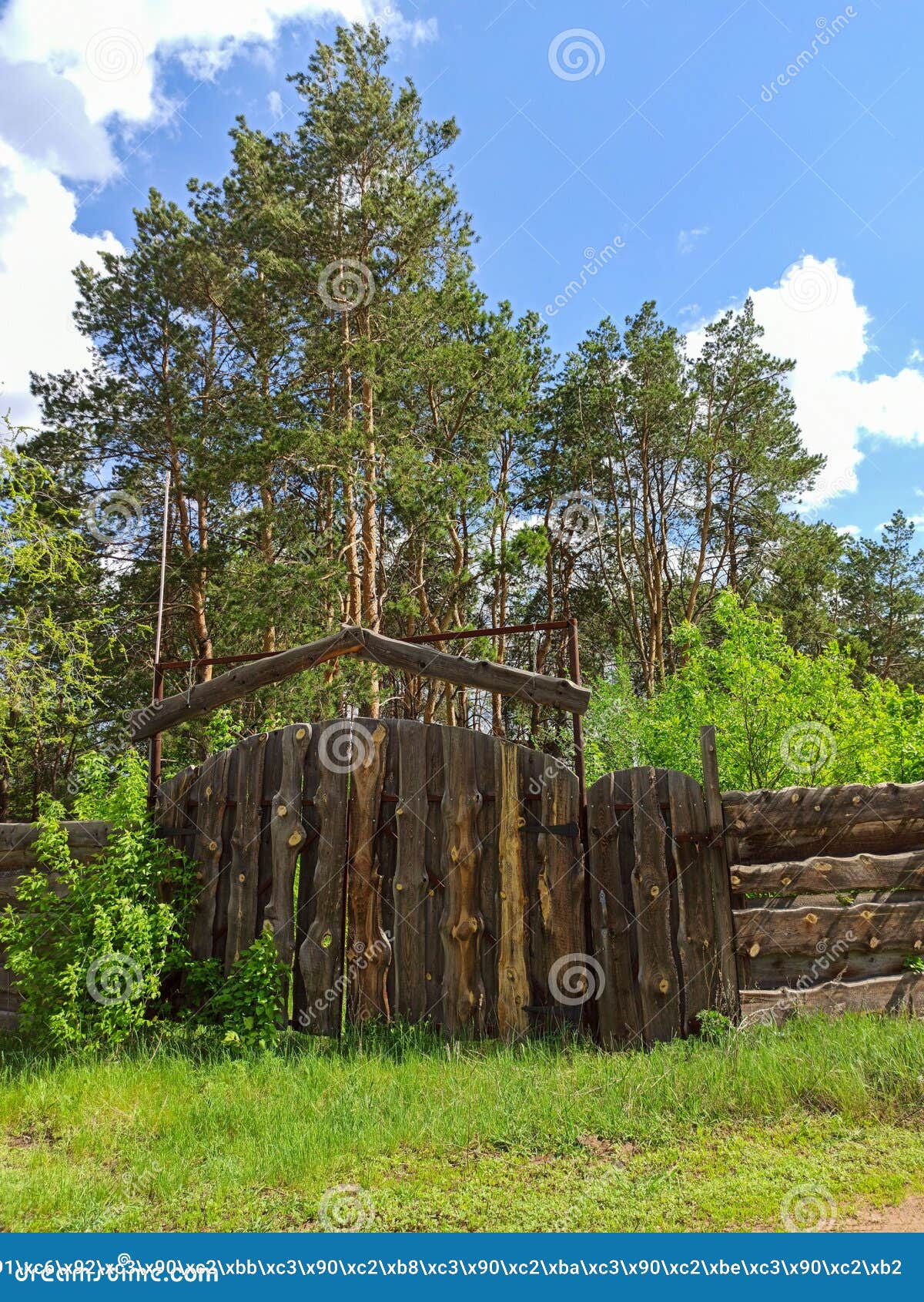 Old Gate with a Gate in a Pine Forest Stock Photo - Image of building ...