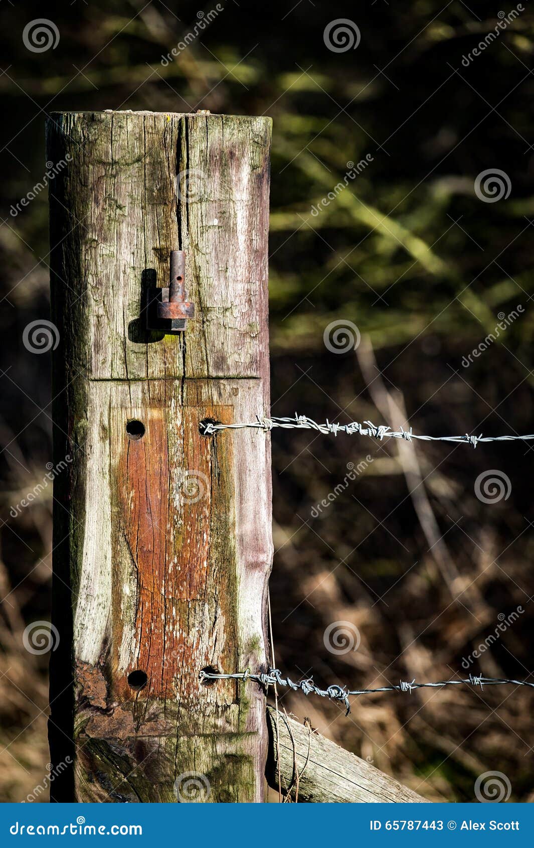 Old Gate Post with Barbed Wire Stock Image - Image of timber, post ...
