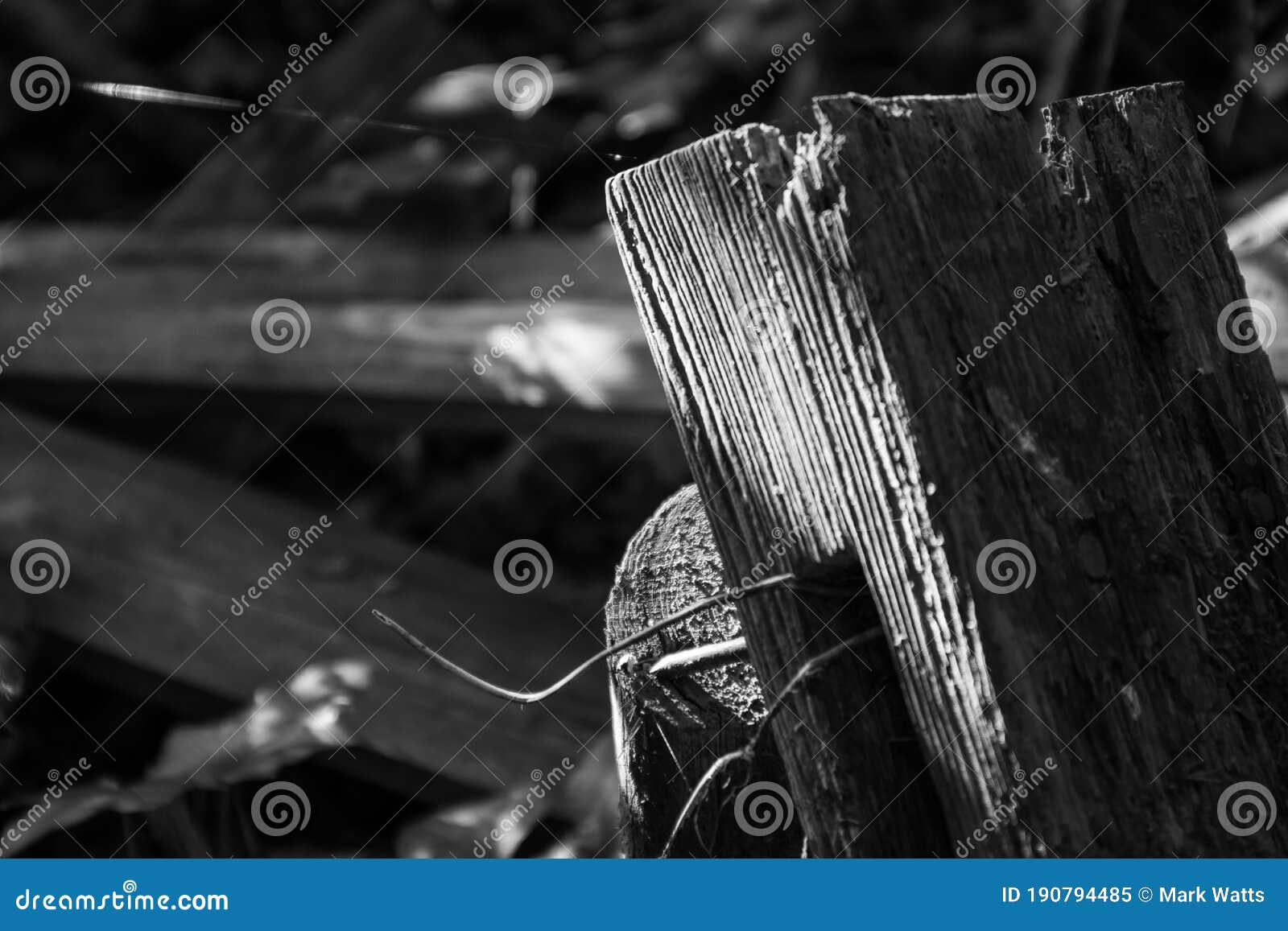 Old Gate Post in Black and White Stock Image - Image of reflection ...