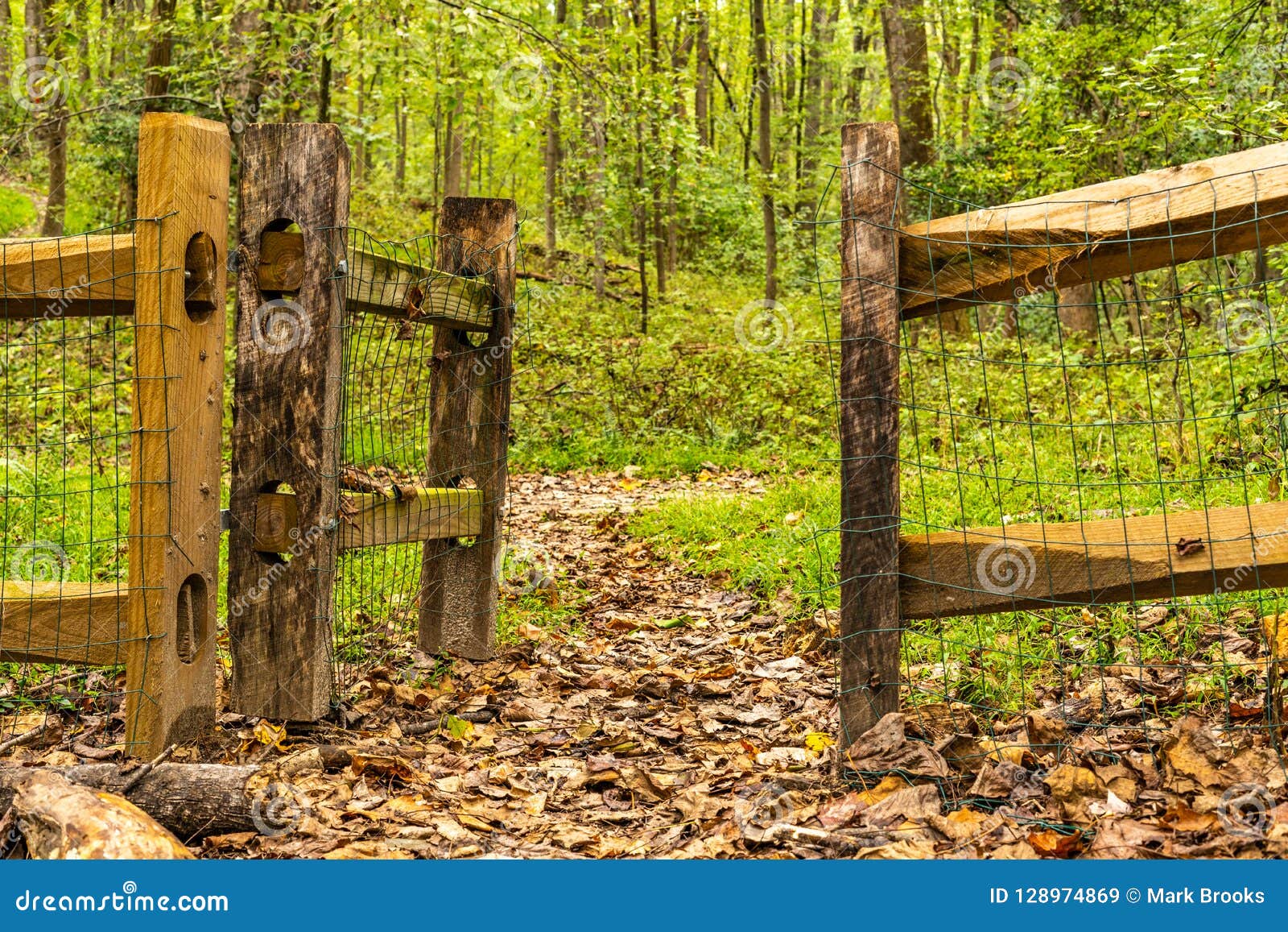 Old Gate on a trail stock image. Image of gate, green - 128974869