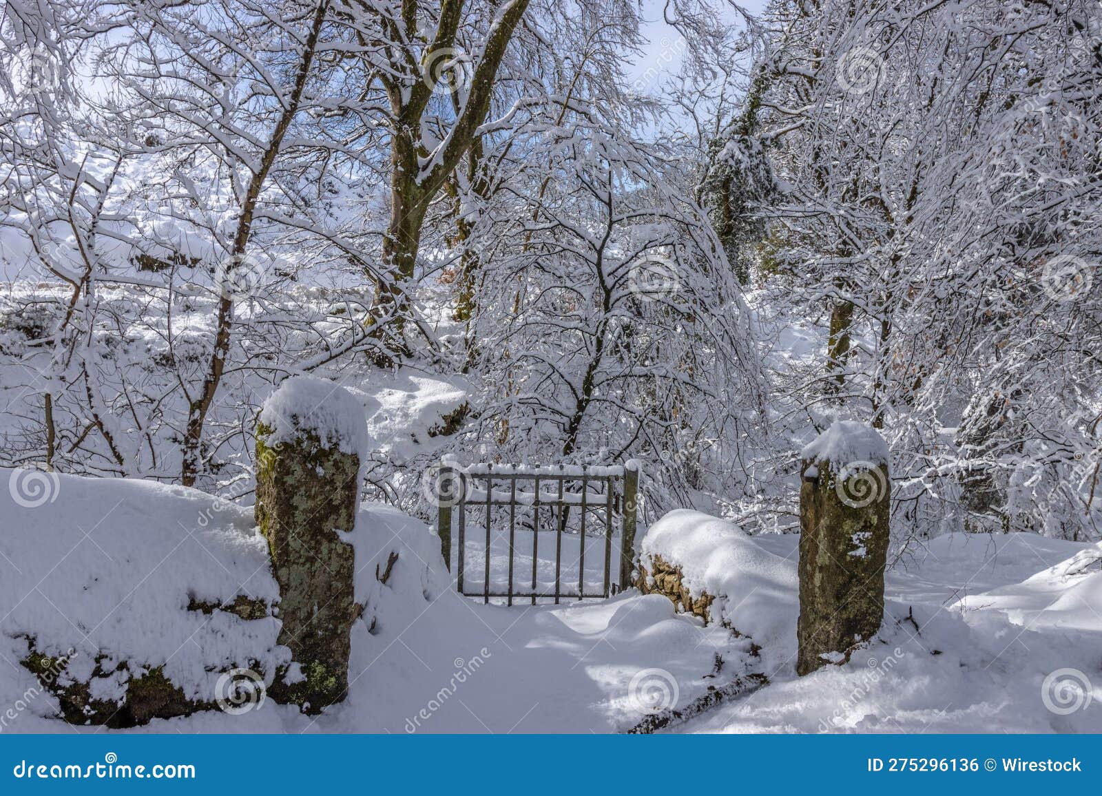 Old Gate and Trees Covered in Snow in the Park Stock Photo - Image of ...