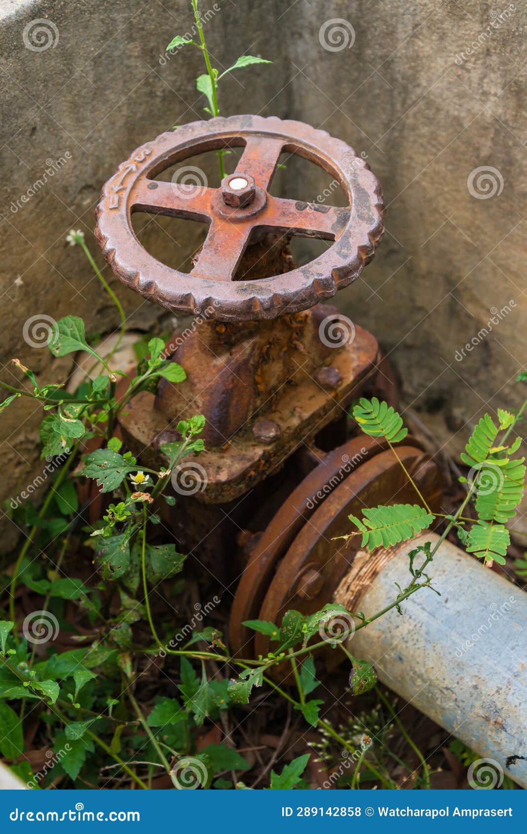 Old Gate valve stock photo. Image of machinery, scale - 289142858