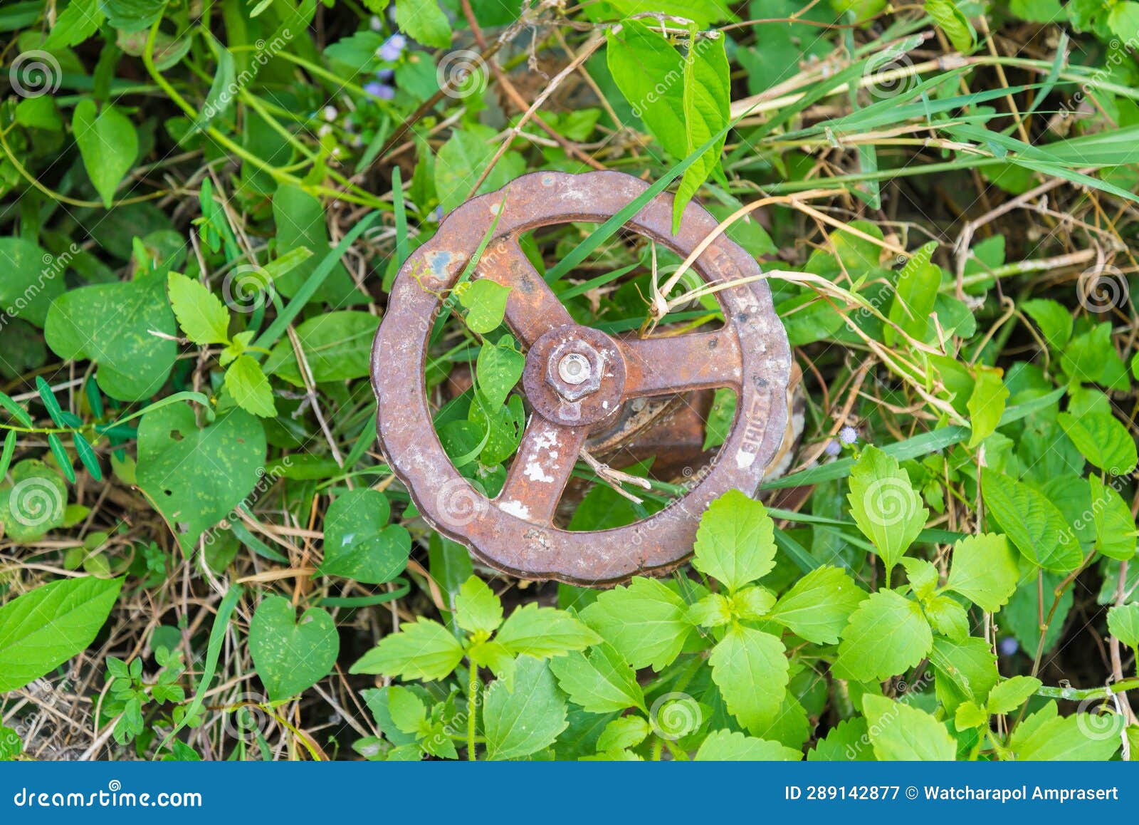 Old Gate valve stock image. Image of lever, conditioning - 289142877