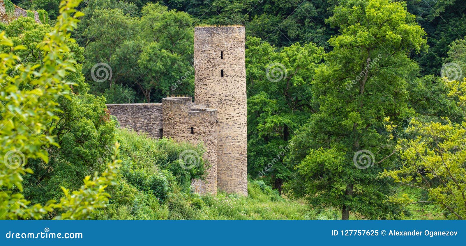 Old German Castle Outpost in the Forest Stock Image - Image of ...