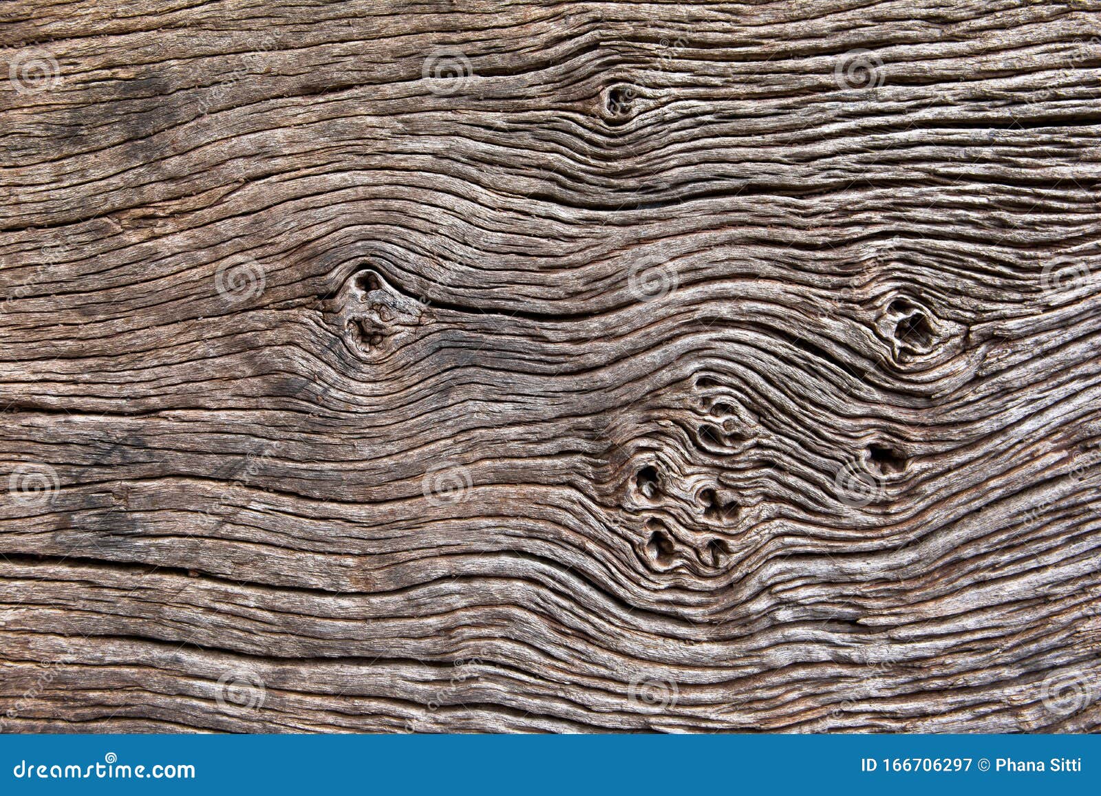 731 Wood Node Texture Background Stock Photos - Free & Royalty-Free ...