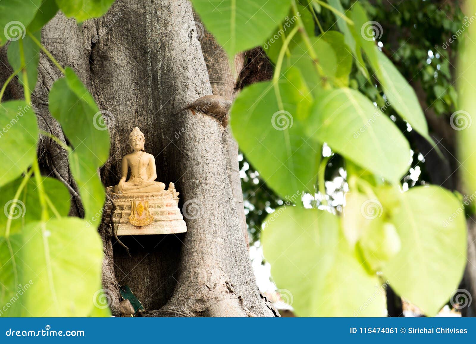 The Old Gold Color Buddha Statue Was Left at the Big Tree at Temple ...