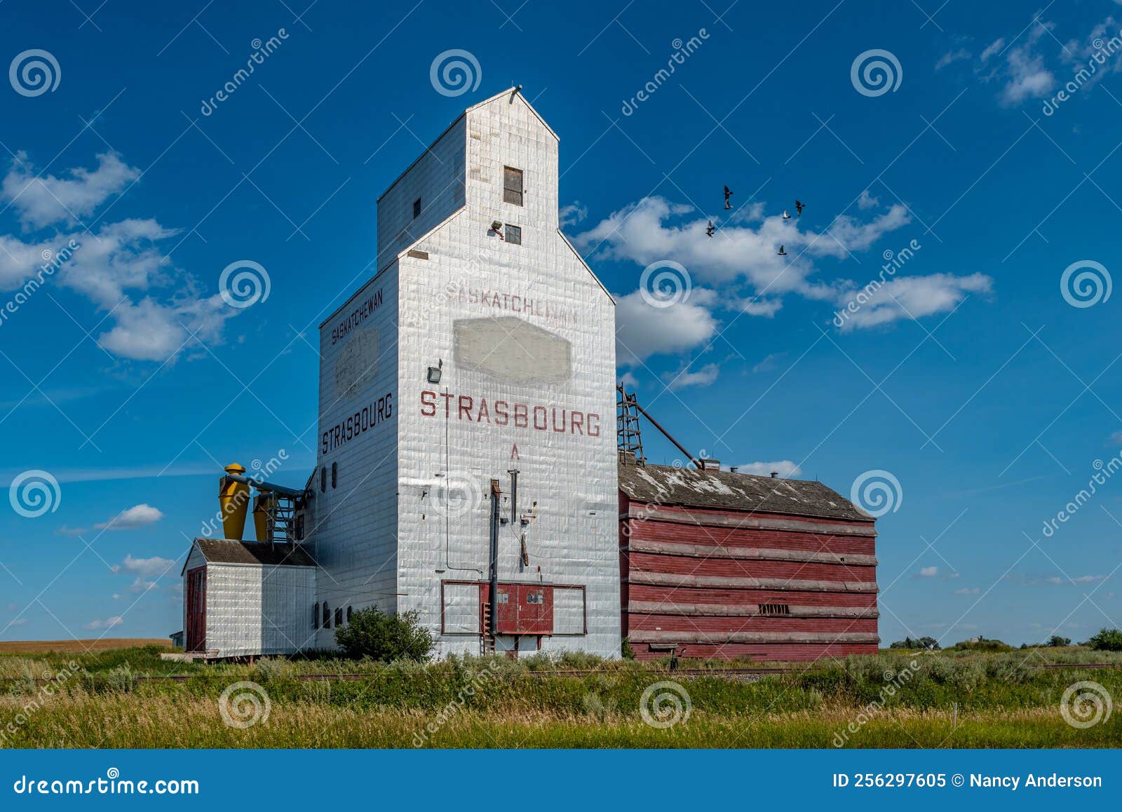 The Old Grain Elevator in Strasbourg, SK Stock Image - Image of ...