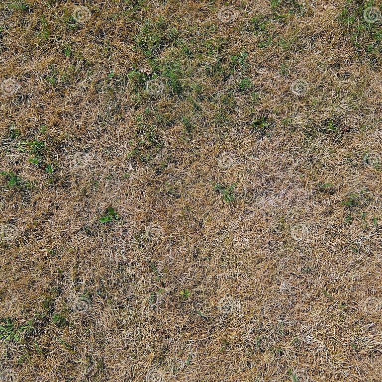 Old Grass texture stock image. Image of meadow, pattern - 43170011