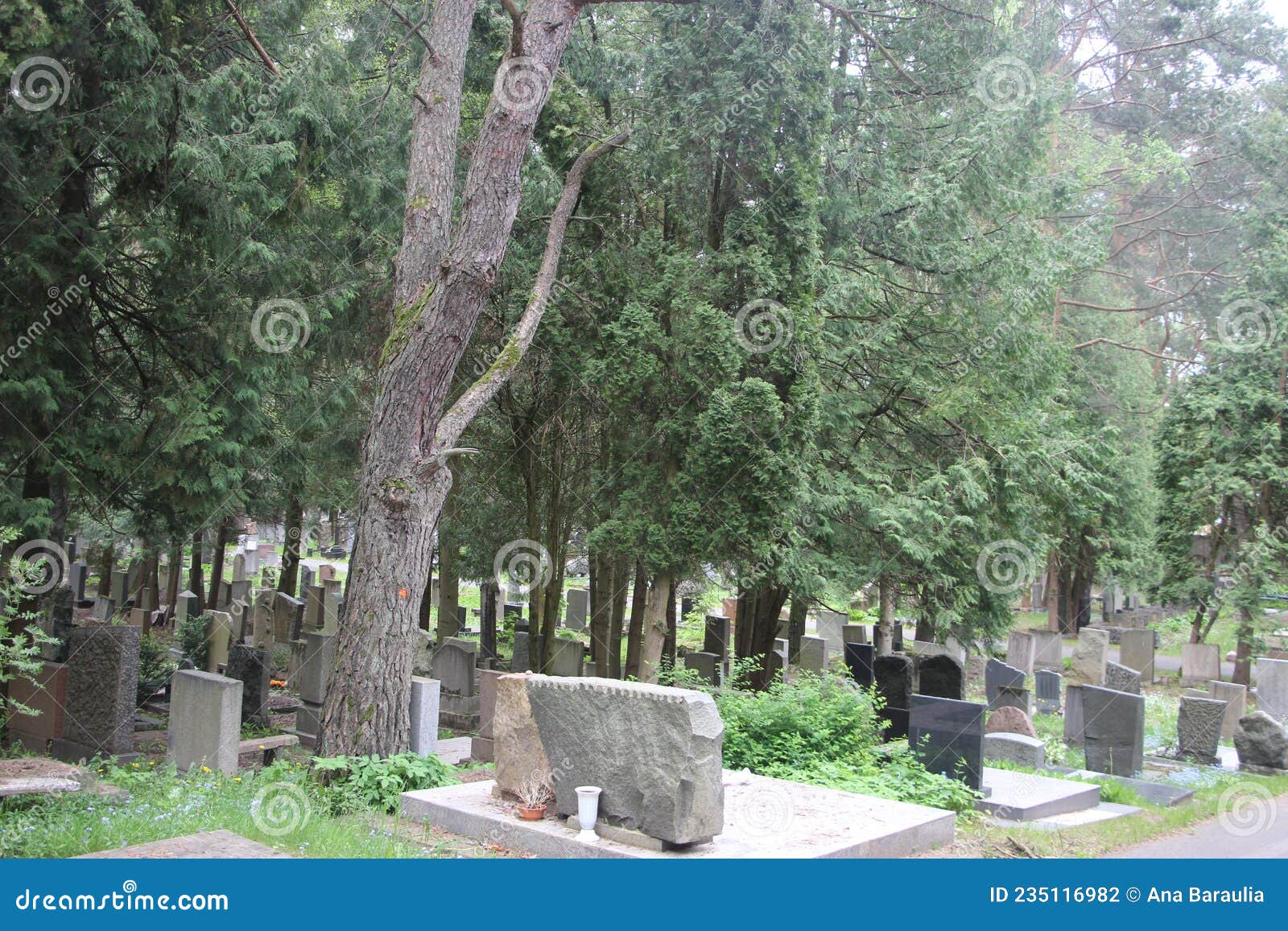 Old Grave Stones in a Cemetry. Life and Death Concept Stock Photo ...