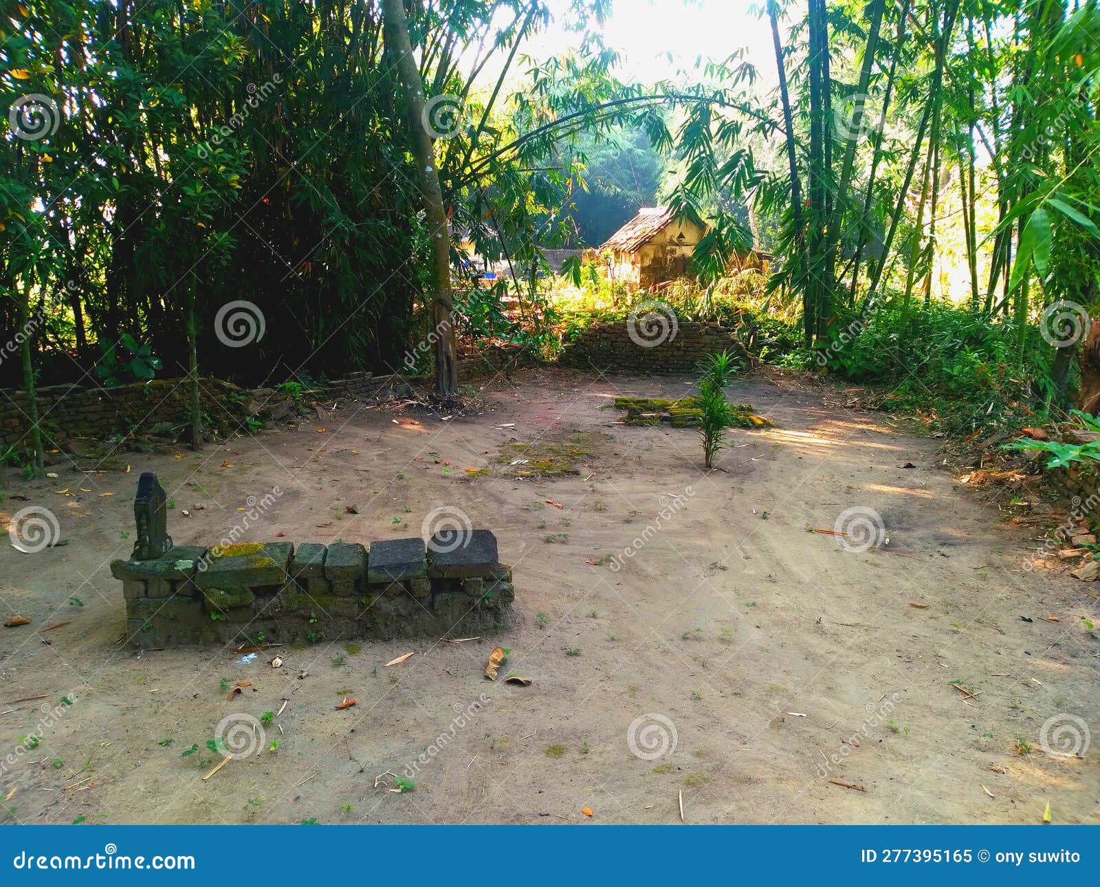 Old grave yard stock image. Image of grave, yard, green - 277395165