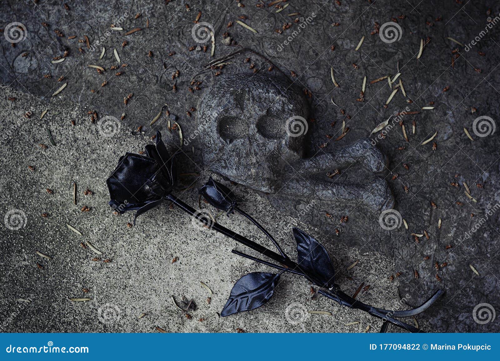 Old Gravestone with Damaged Skull and Bones and One Black Rose Stock ...