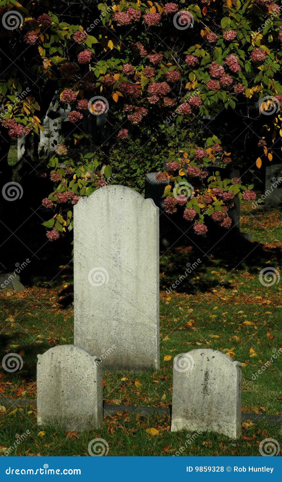 Old Gravestones in a Cemetery. Stock Photo - Image of nova, gravestones ...