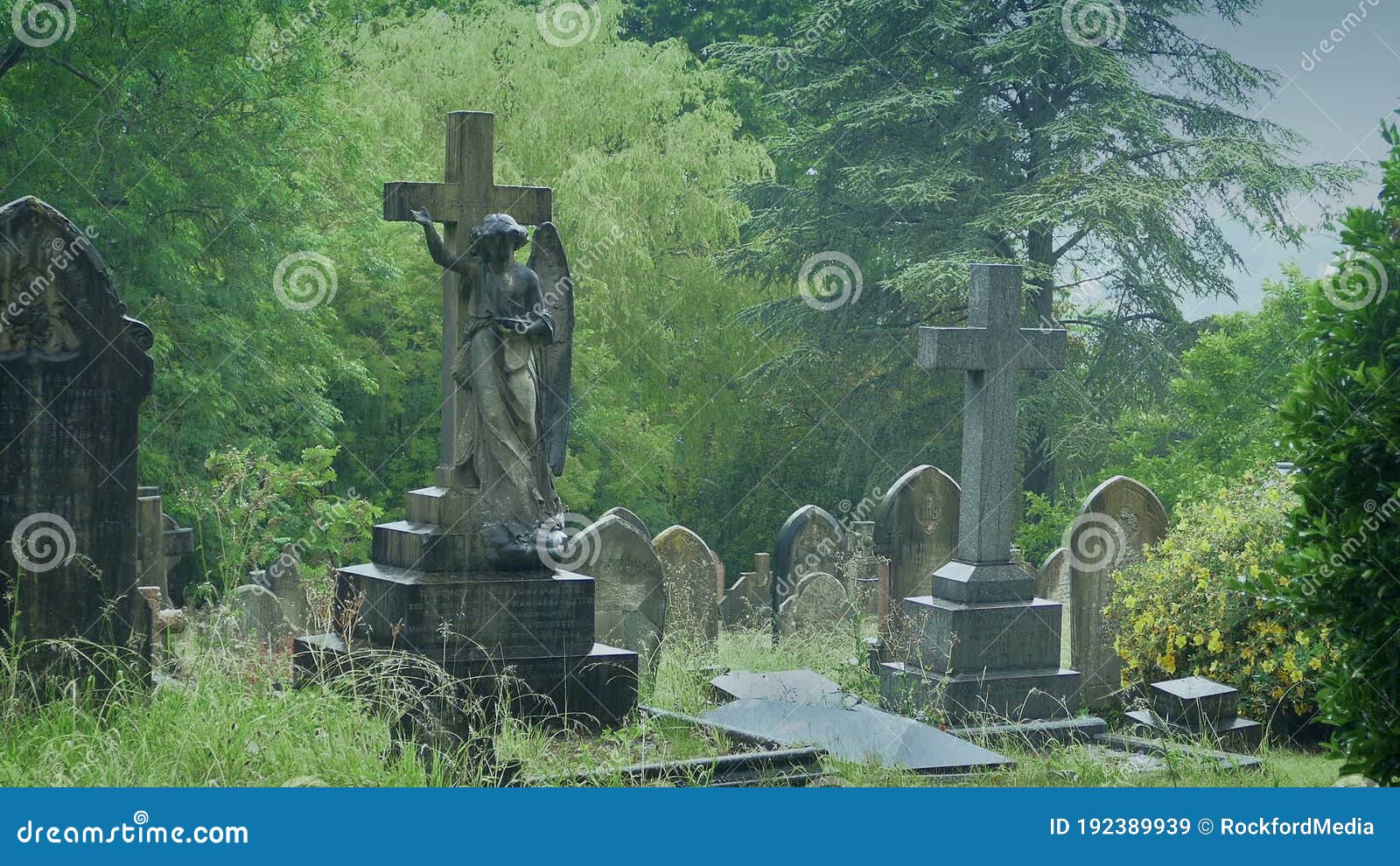 Graveyard in the Rain Landscape Stock Video - Video of stormy, rainy ...