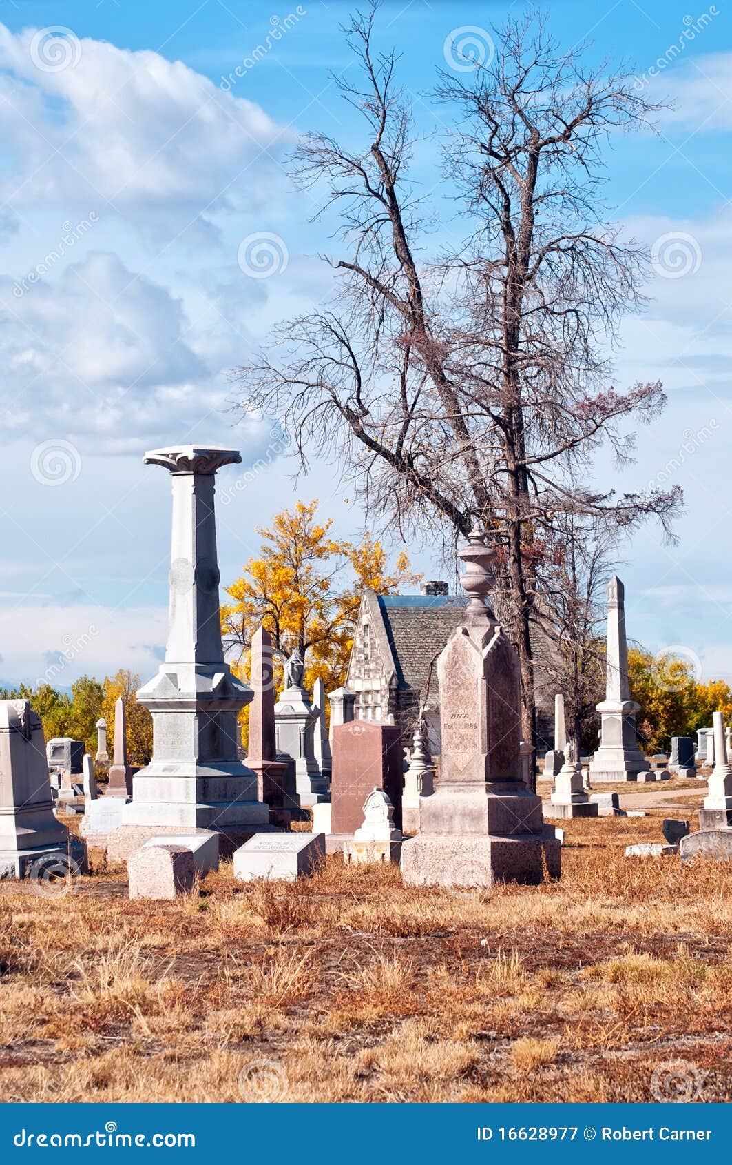Old Graveyard with Spooky Old Dead Trees Stock Image - Image of stone ...