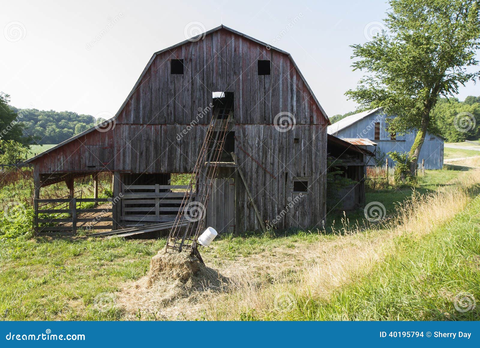 Old Gray Barn stock photo. Image of countryside, country - 40195794