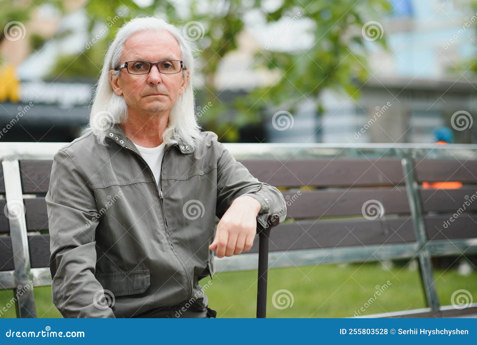 Old Gray-haired Man Rest on the Bench in Summer Park Stock Photo ...