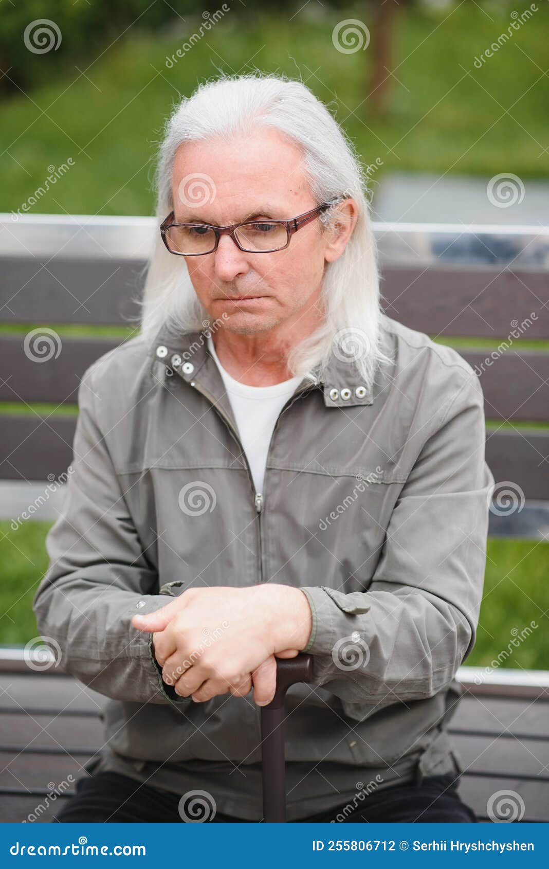 Old Gray-haired Man Rest on the Bench in Summer Park Stock Photo ...