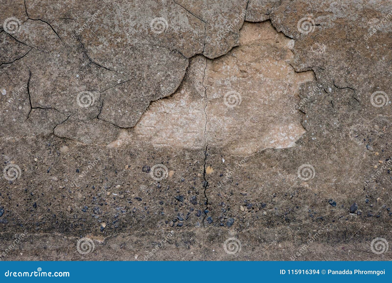 The Damage On The Surface Of Carrot Was Covered With Putrid Fungal ...