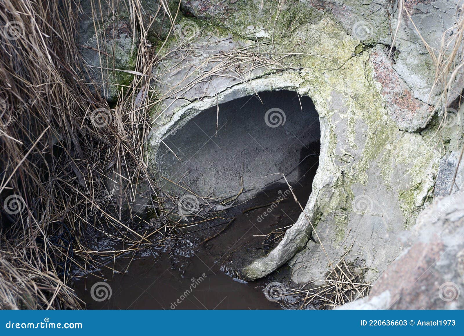 Old Gray Pit with Broken Concrete Sewer Pipe Stock Image - Image of ...