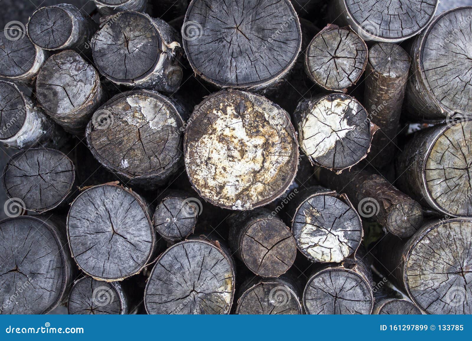 Old Gray Yellow Dry Sawn Logs of Trees in Firewood. Rough Surface ...