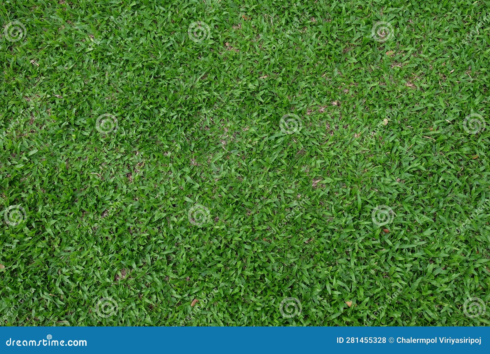 Old Green Grass Field Texture Stock Photo - Image of meadow, soil ...