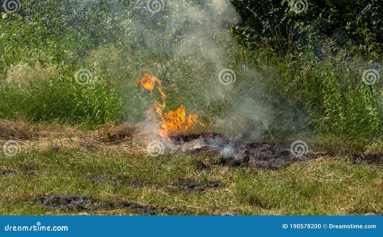 Old Green Grass on Fire, Burning Nature Stock Photo - Image of fire ...