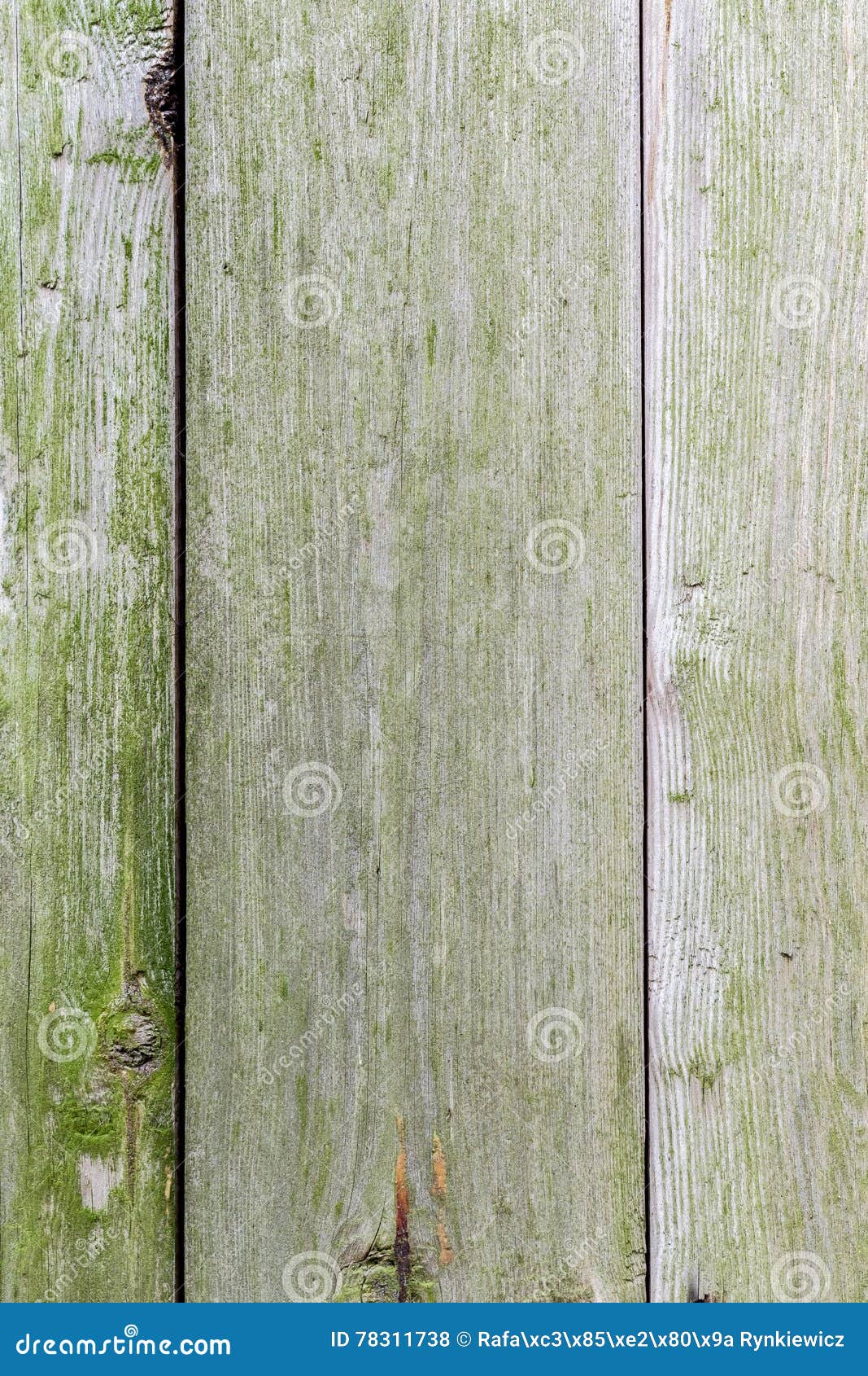 Old Green Wood Texture with Natural Patterns Stock Photo - Image of ...