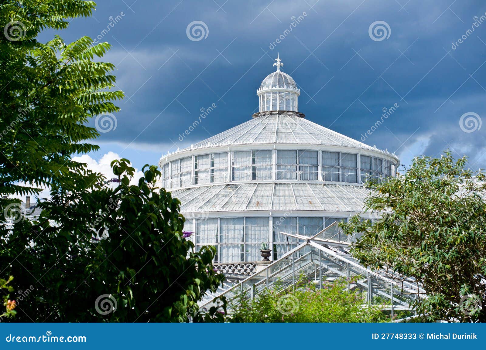 Old greenhouse stock image. Image of blooming, light - 27748333