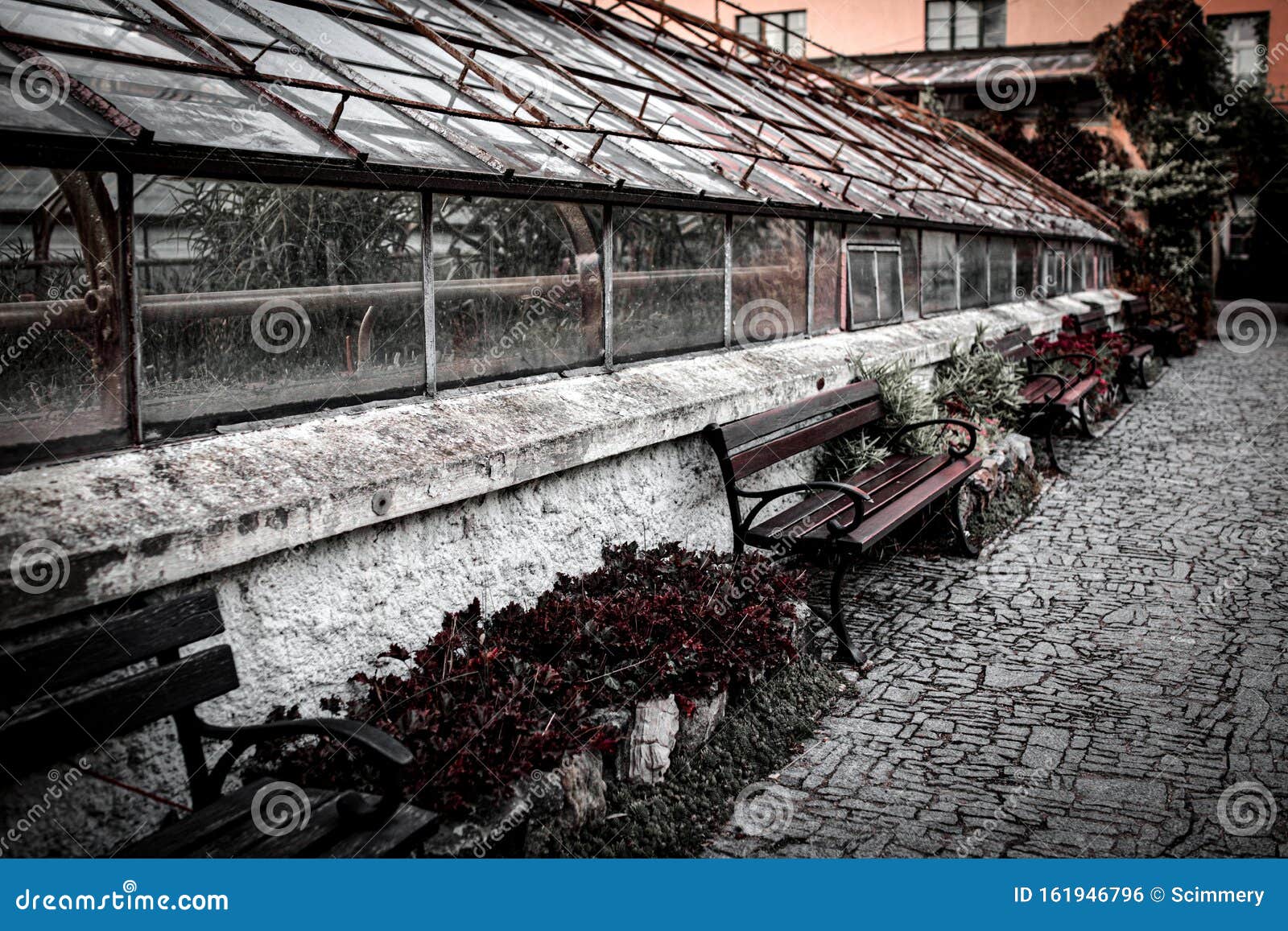 An old greenhouse stock photo. Image of exotic, glass - 161946796