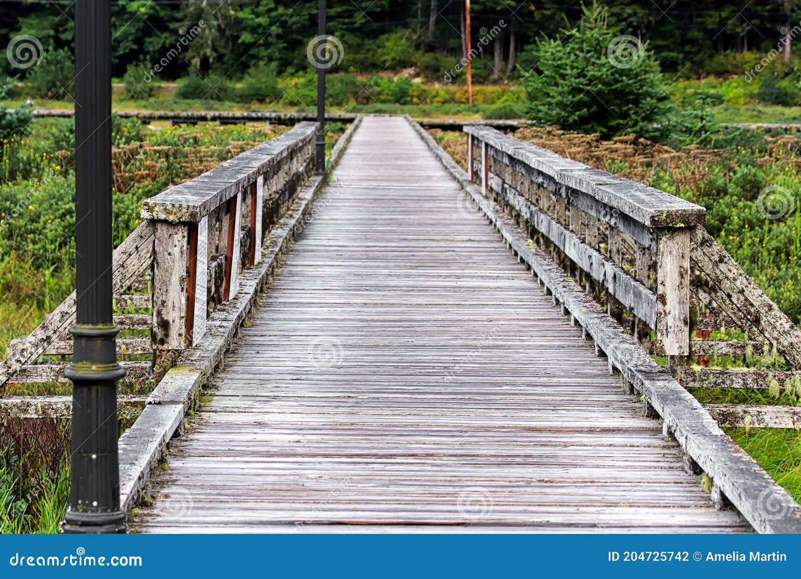 An Old Grey Boardwalk Wooden Fence With Parallel Planks And A Used Tire ...