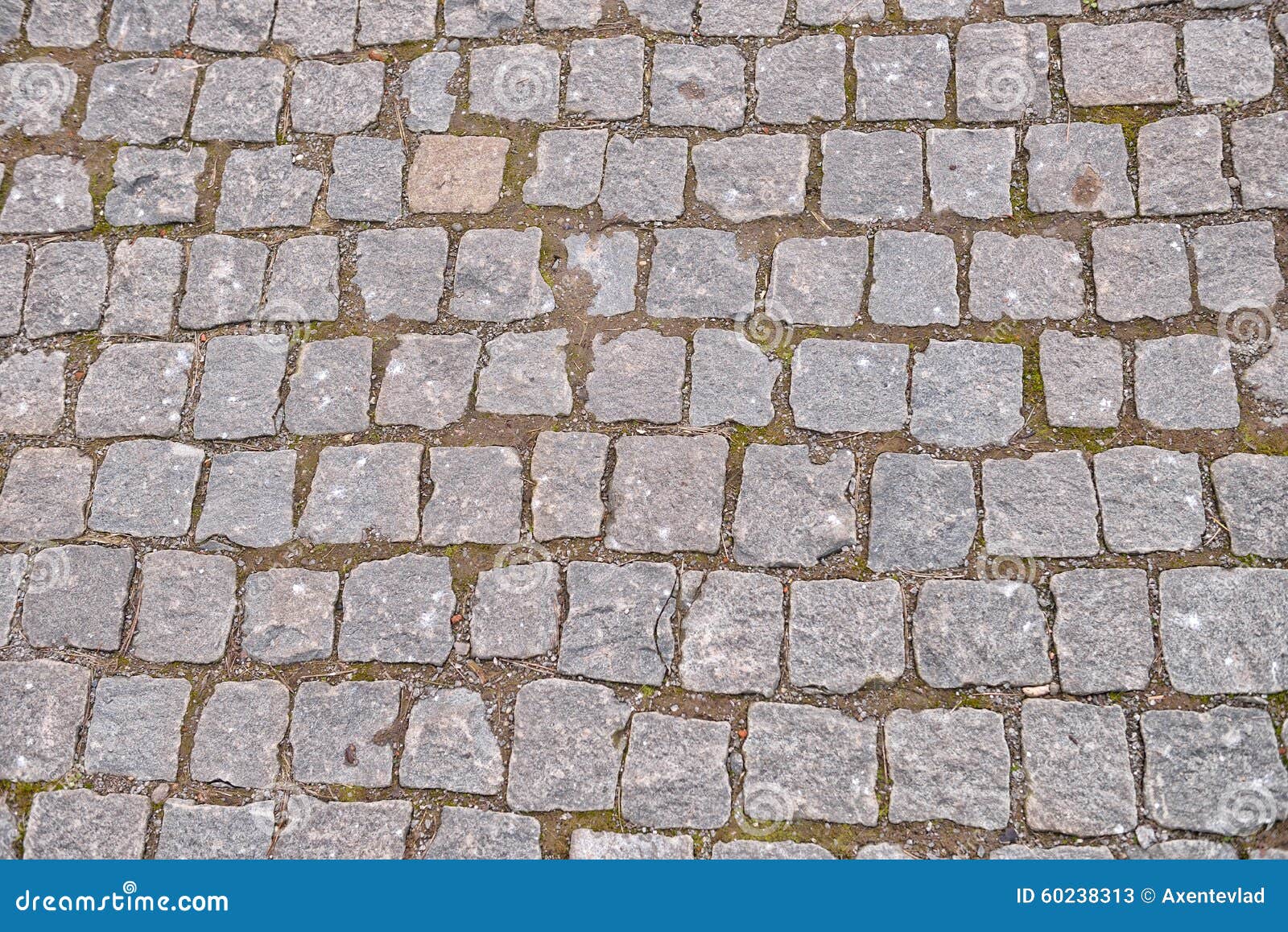 Old Grey Pavement in a Pattern in an Old Medieval European Town. Stock ...