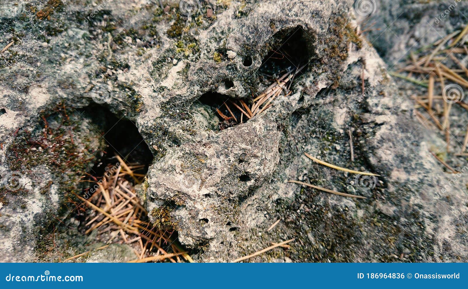 Old Grey Rock Face Closeup stock photo. Image of closeup - 186964836