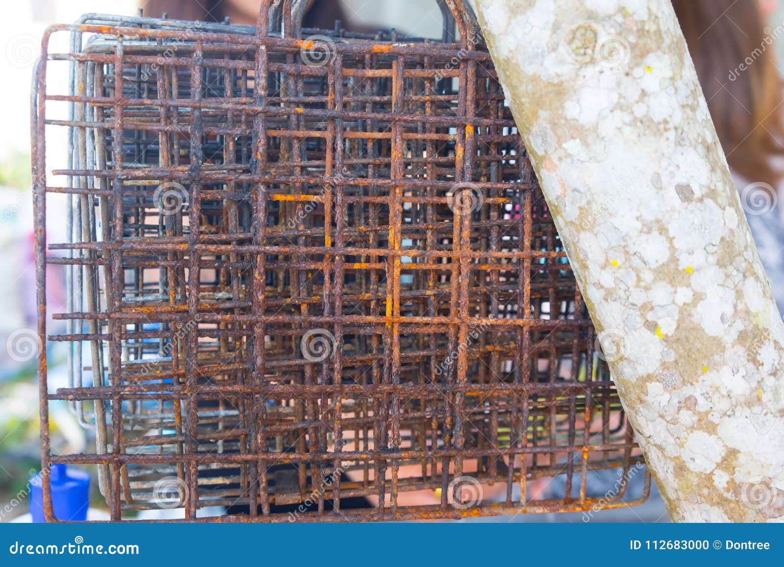 An old grid for grilling stock photo. Image of grass - 112683000