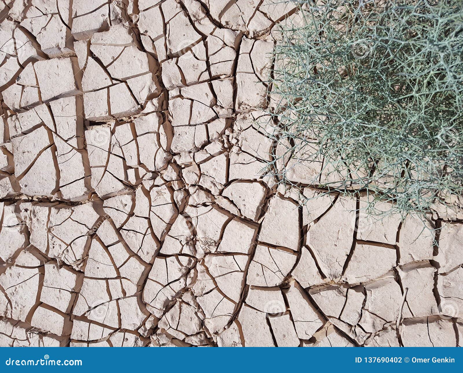 Old ground stock photo. Image of brown, beautiful, ground - 137690402