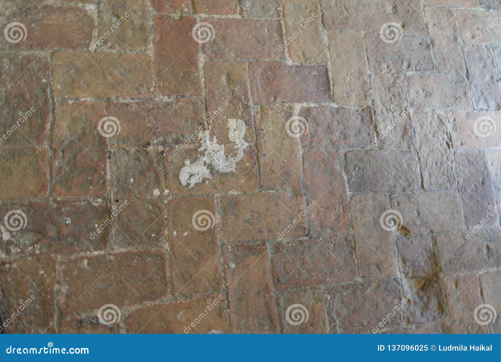 Old ground historical stock image. Image of interior - 137096025